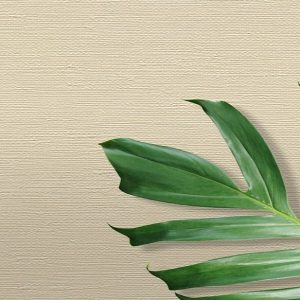 Water Street Texture - Waltex Corporation